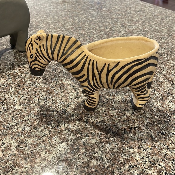 Anthropologie | Accents | Anthropologie Zebra Planter | Poshmark